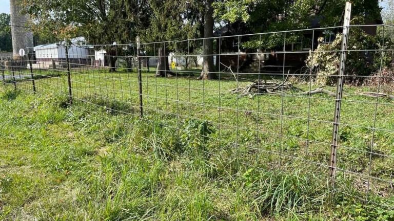 Goat Fence Ideas - GannFarmRaised